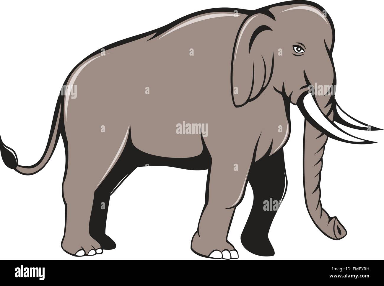 Viewed the front Stock Vector Images - Alamy