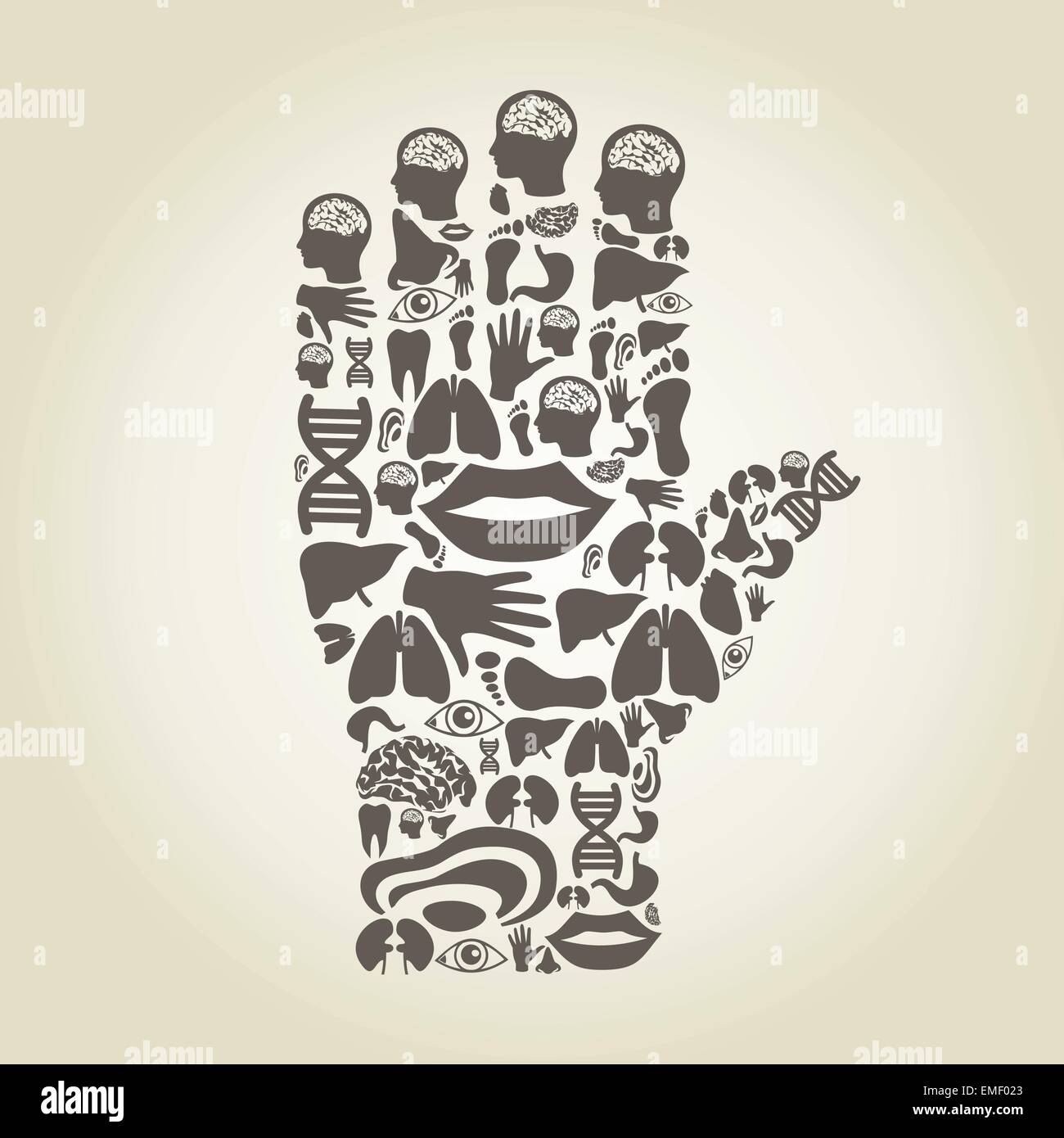 Woman body parts hand Stock Vector Images - Alamy