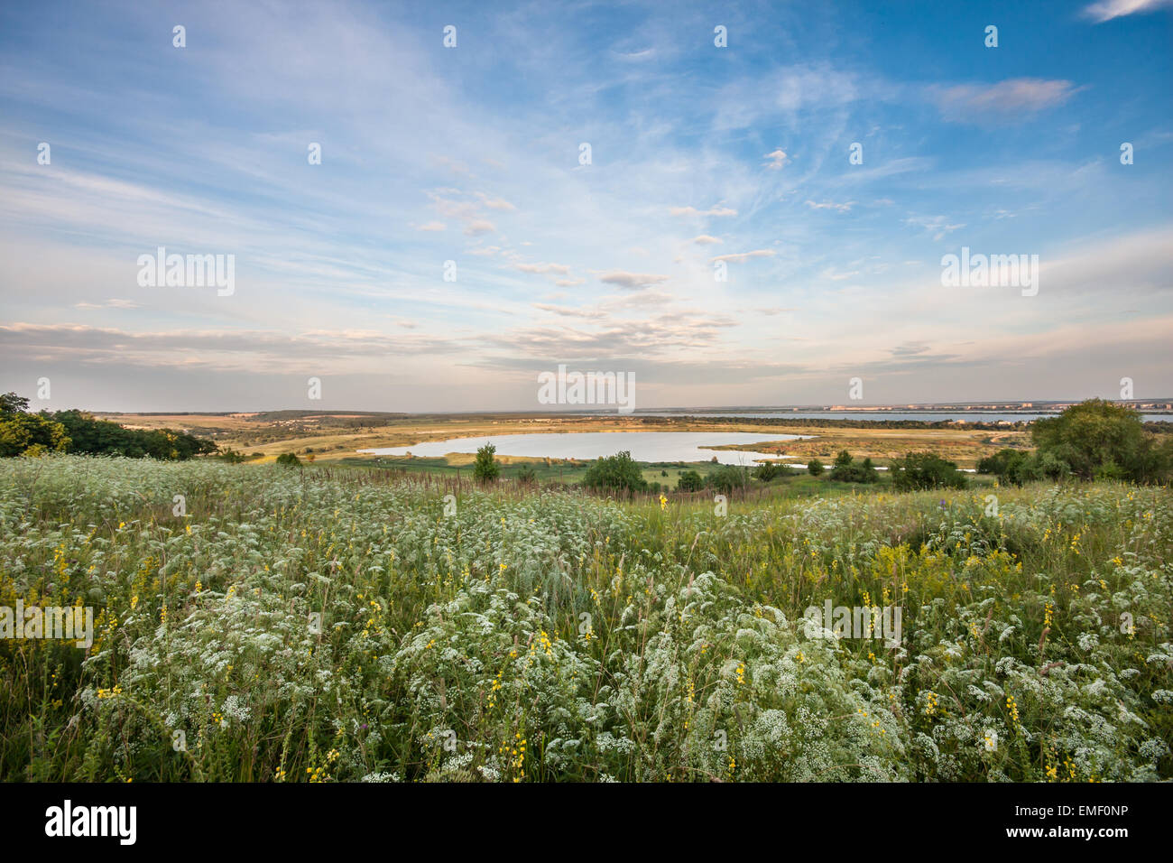 Water summer blue sky flowers hi-res stock photography and images - Alamy