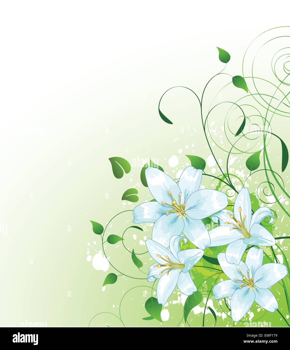 Peace lily leaves Stock Vector Images - Alamy