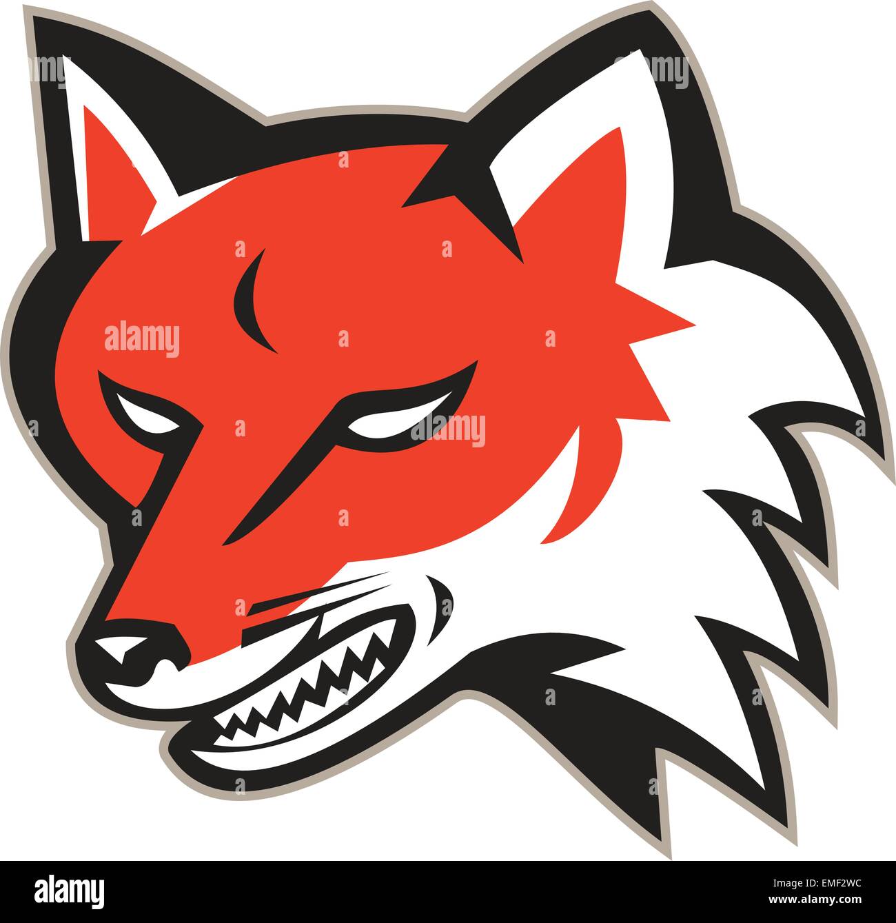 Red Fox Angry Head Retro Stock Vector Image & Art - Alamy