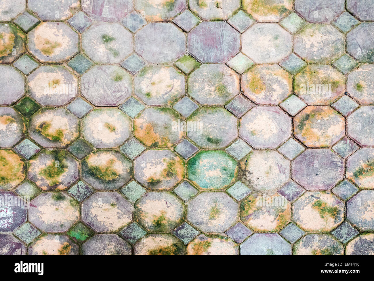 Dirty pavement hi-res stock photography and images - Alamy