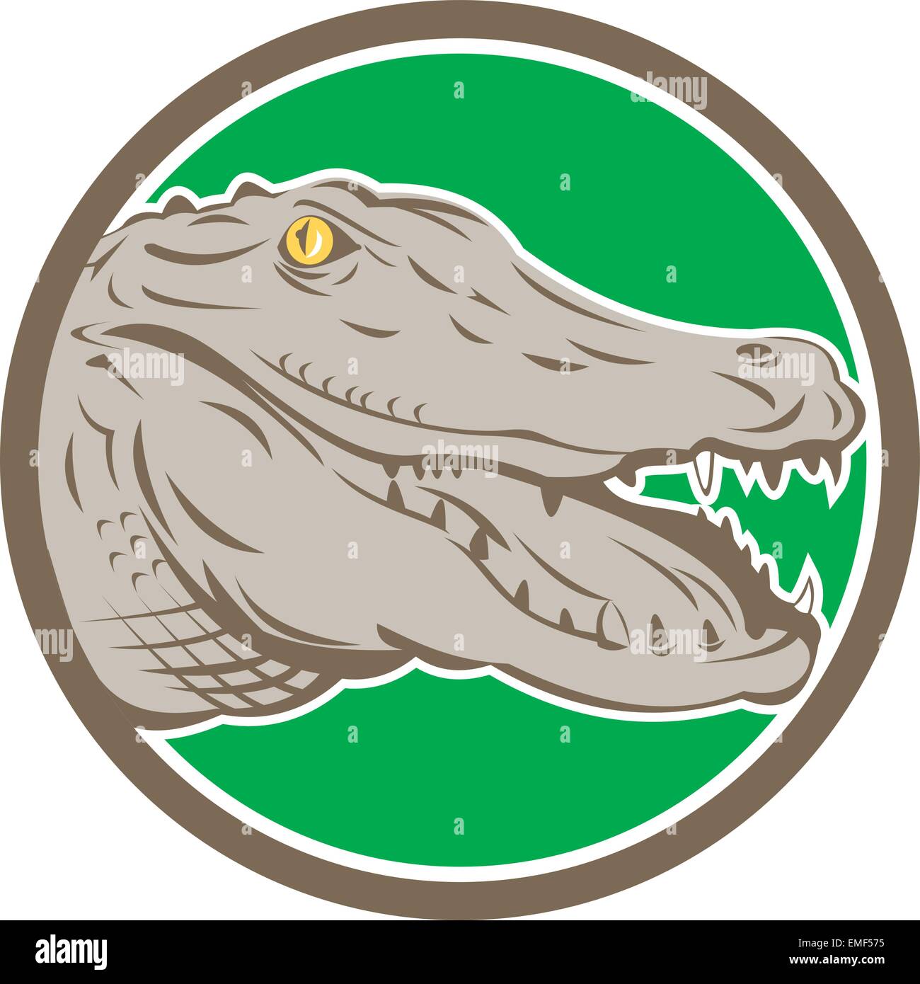 Crocodile Head Cartoon