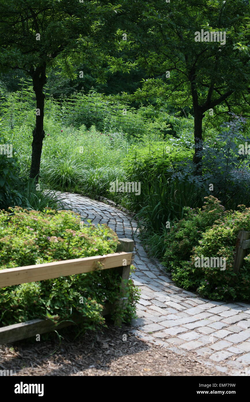 Cobblestone path hi-res stock photography and images - Alamy