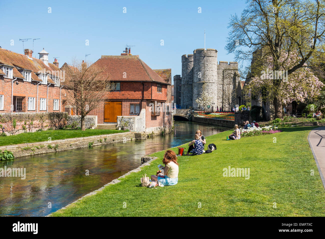 Westgate Gardens Canterbury in Spring River Stour Blossom Tulips Stock ...