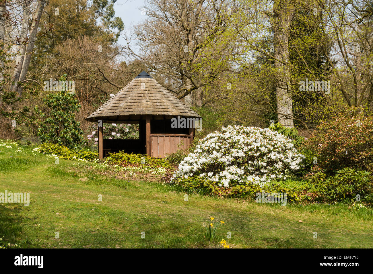 High beeches handcross hi-res stock photography and images - Alamy