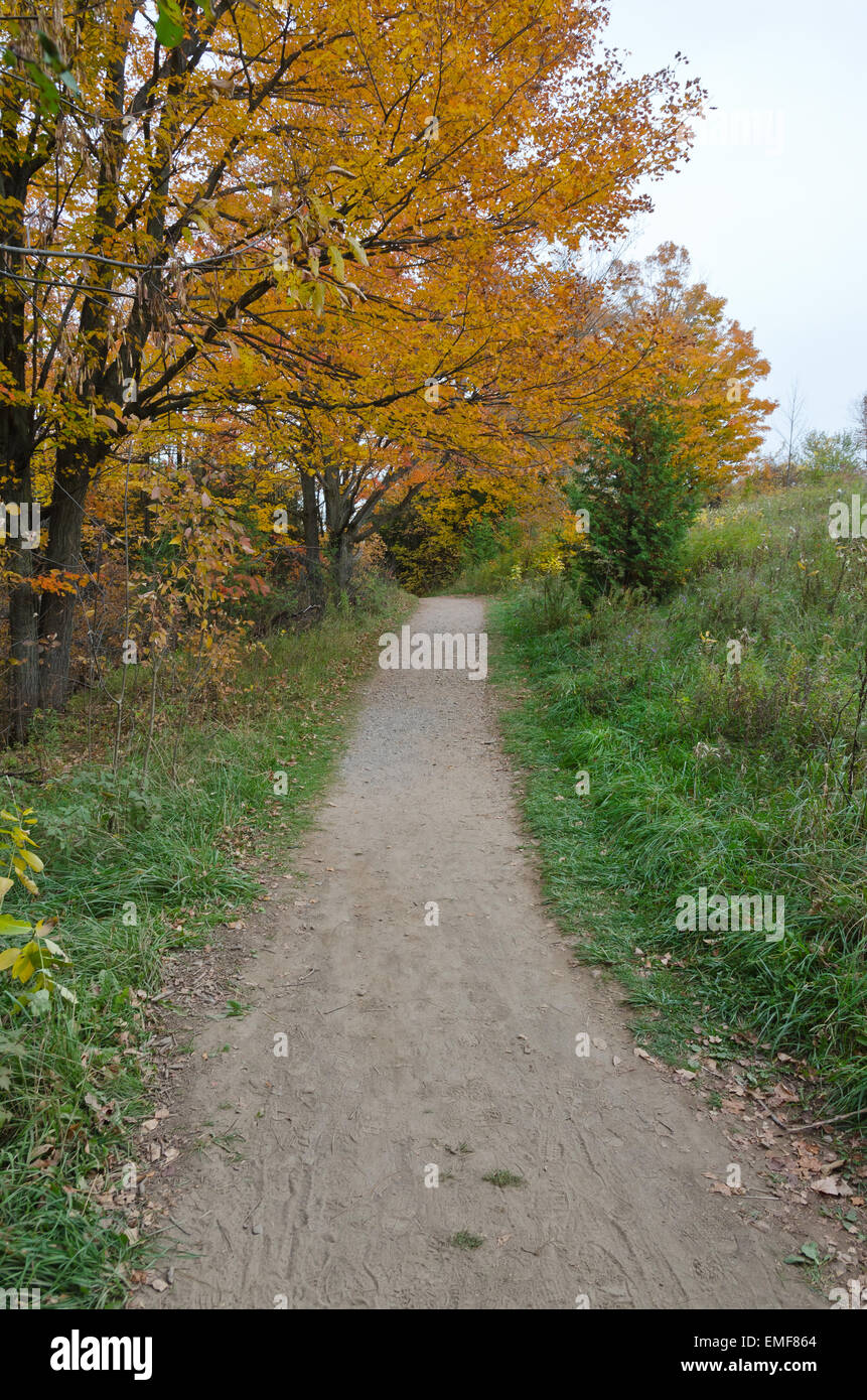 Fall's colorful trees in park. Ontario, Canada Stock Photo - Alamy