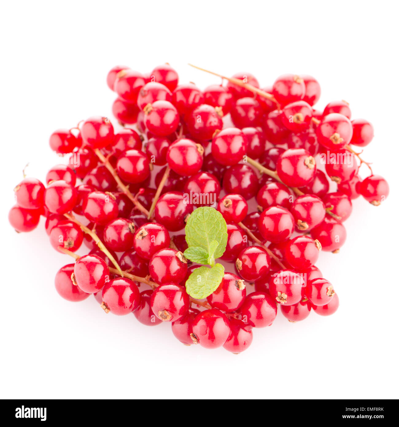 Red Currants close up on white background Stock Photo - Alamy