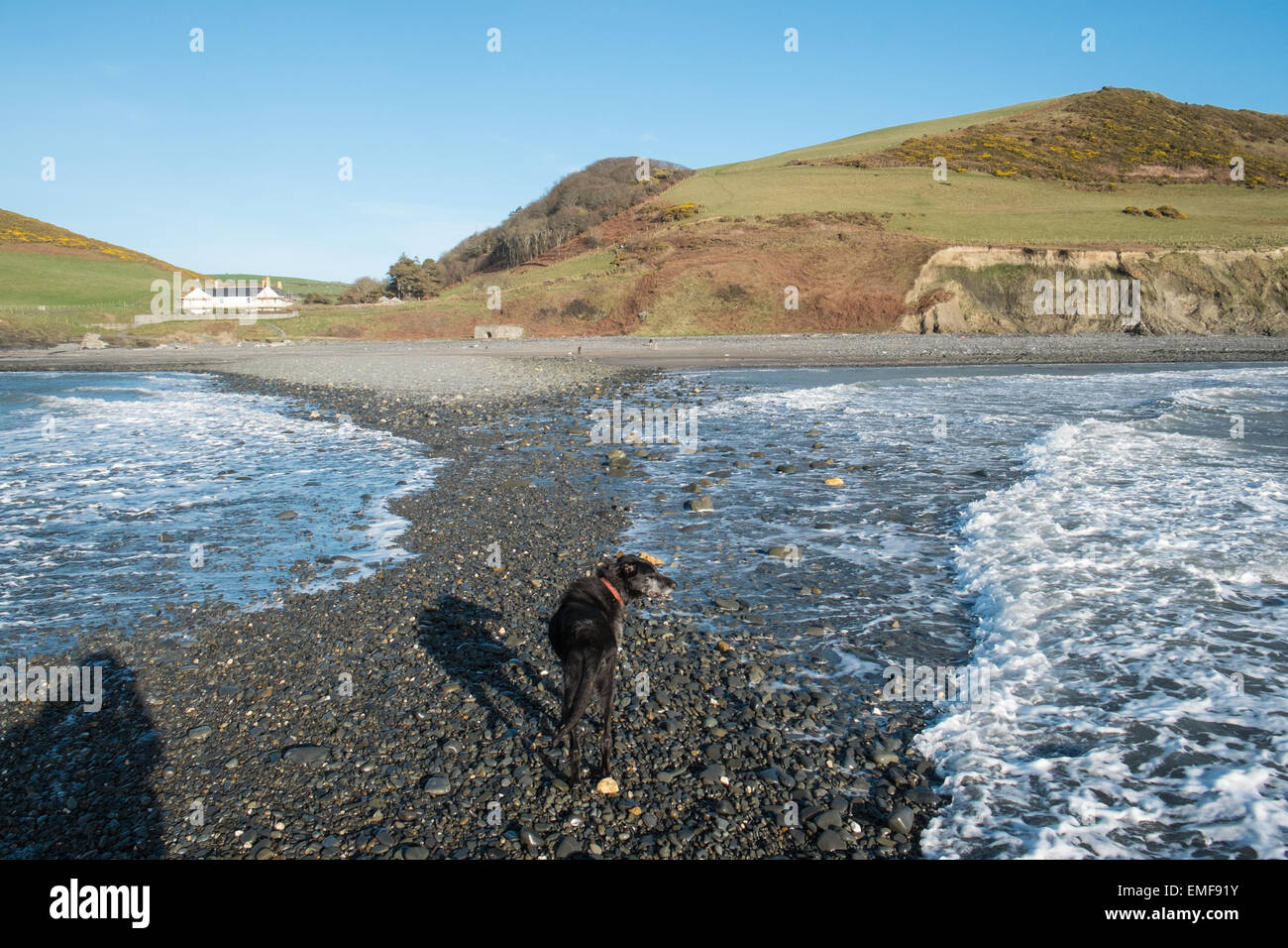Sarn,Cynfelin,at,Wallog,village,north,of, Aberystwyth,Ceredigion ...