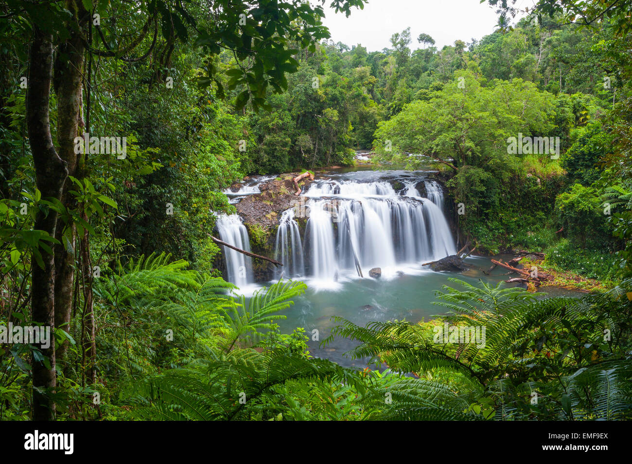 Wallicher Falls - Wooroonooran National Park - Queensland - Australia ...
