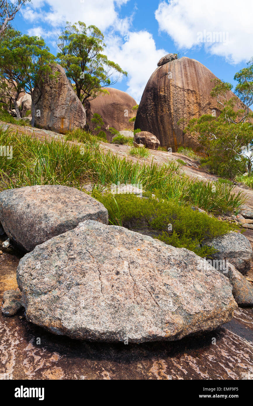 Girraween national park hi-res stock photography and images - Alamy