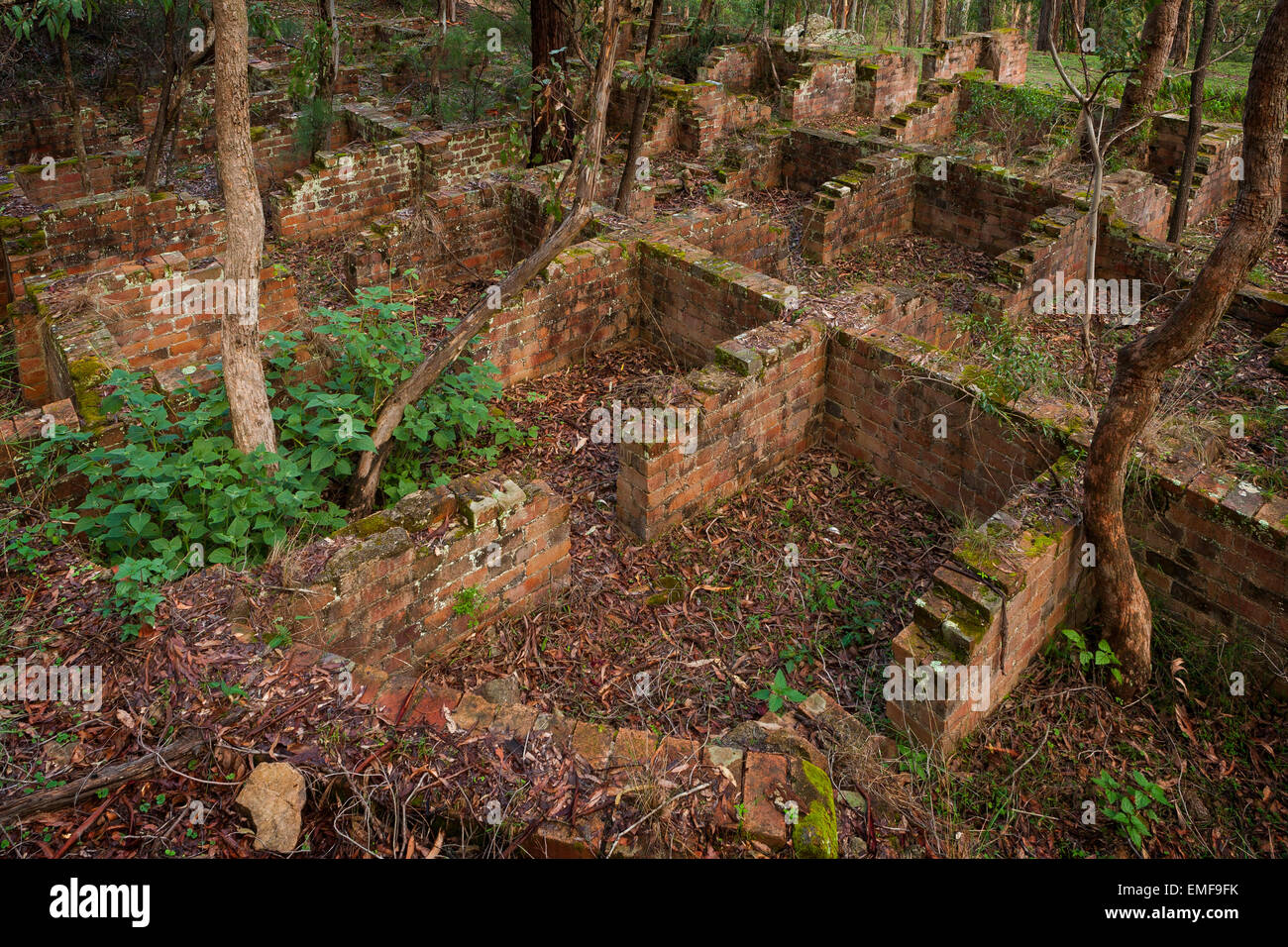 Shale Oil Refinery Ruins - Newnes - Wollemi National Park - NSW ...