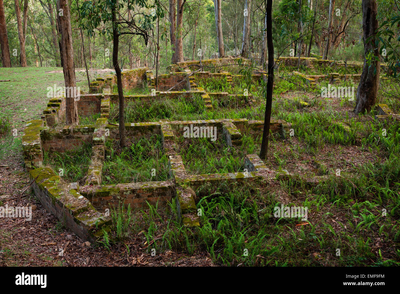 Shale Oil Refinery Ruins - Newnes - Wollemi National Park - NSW ...