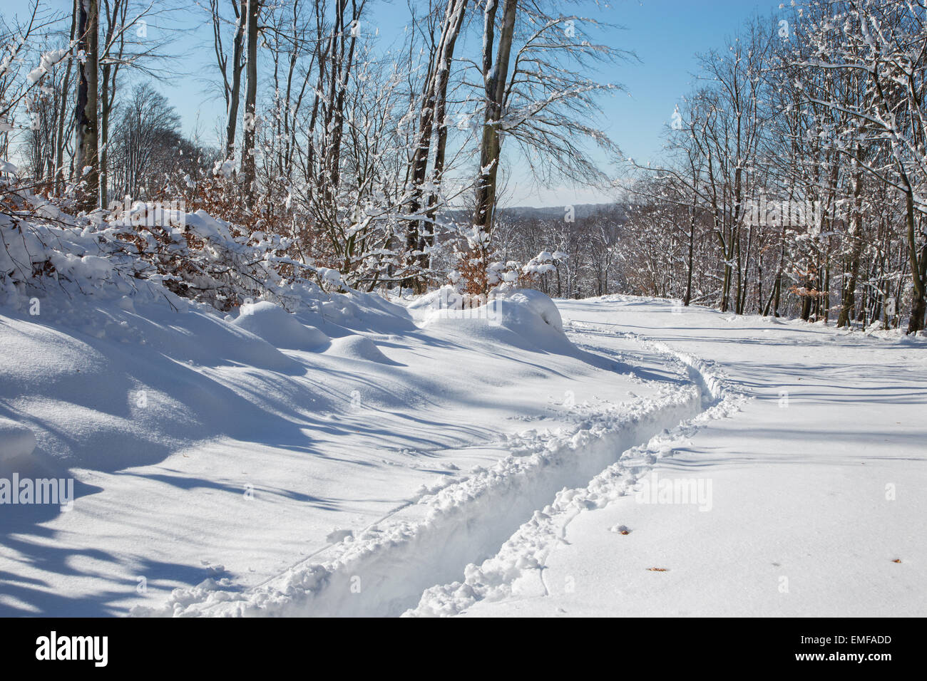 way in winter forest in Little Carpathian hills - Slovakia Stock Photo ...