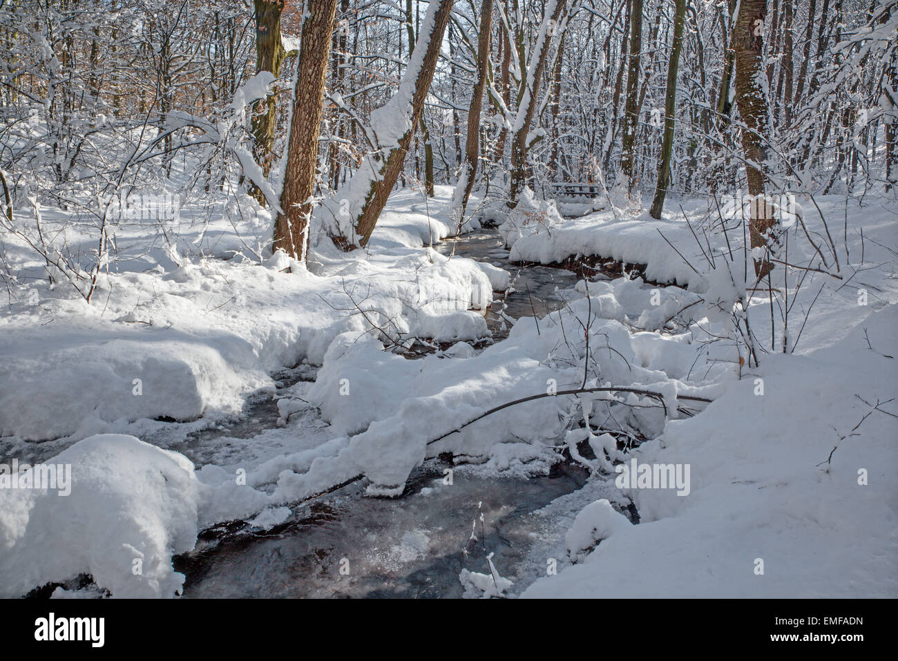creek in winter forest in Little Carpathian hills - Slovakia Stock ...