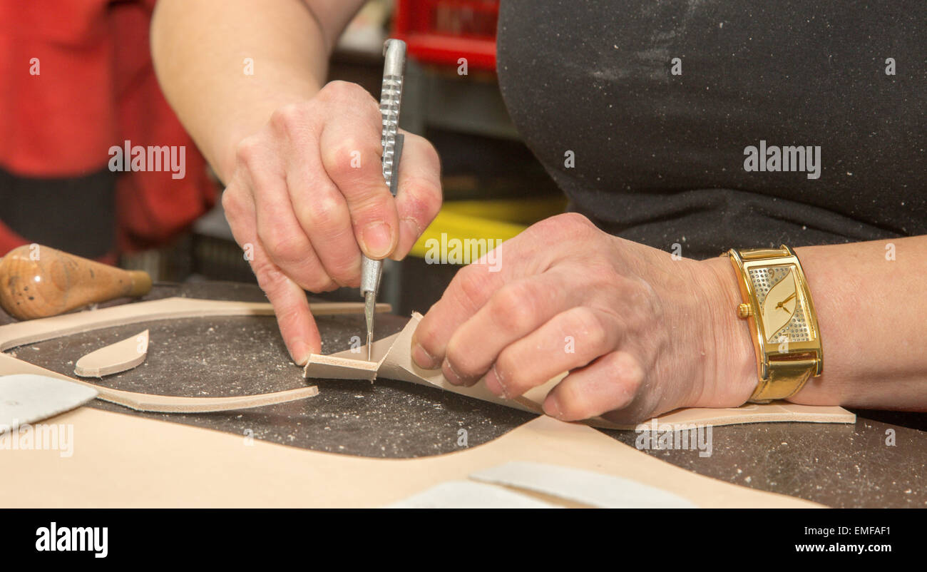 hands of the woman at the work with the leader Stock Photo - Alamy