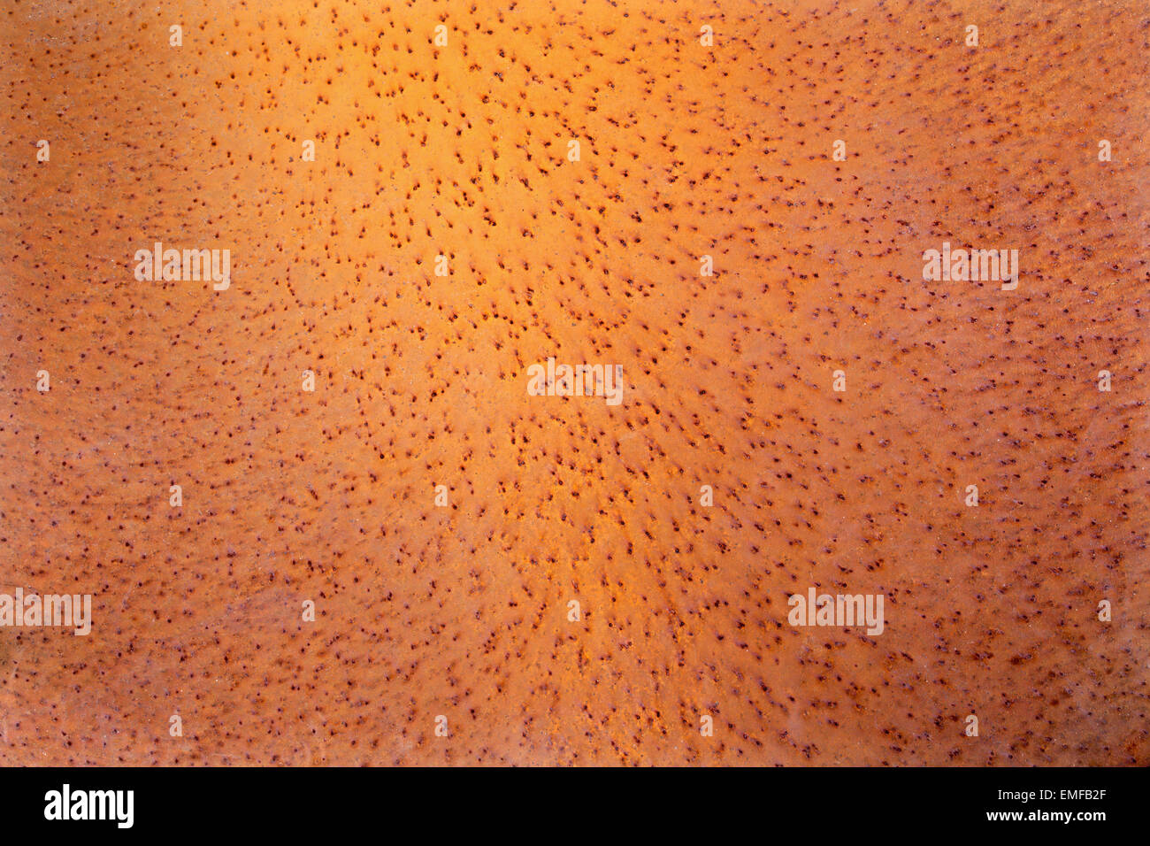rust on the metal plate Stock Photo - Alamy