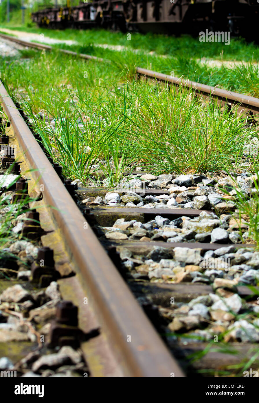 Abandoned Rail Tracks Overgrown With Grass Stock Photo - Alamy