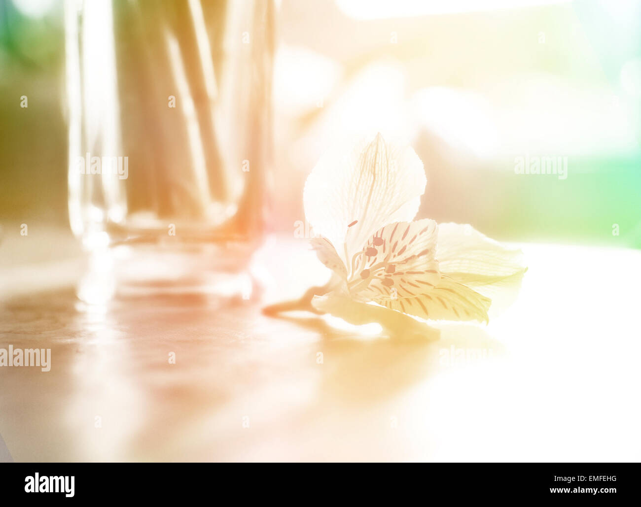 Alstroemeria bouquet hi-res stock photography and images - Alamy