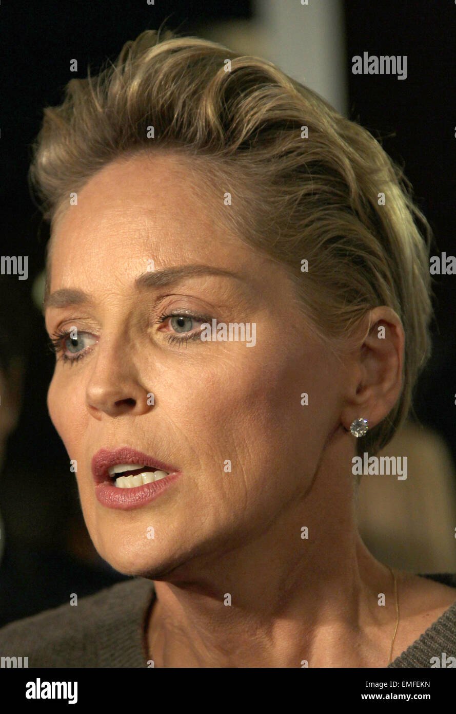 2014 Hollywood Film Festival - Opening Night Gala And Q&A Featuring ...