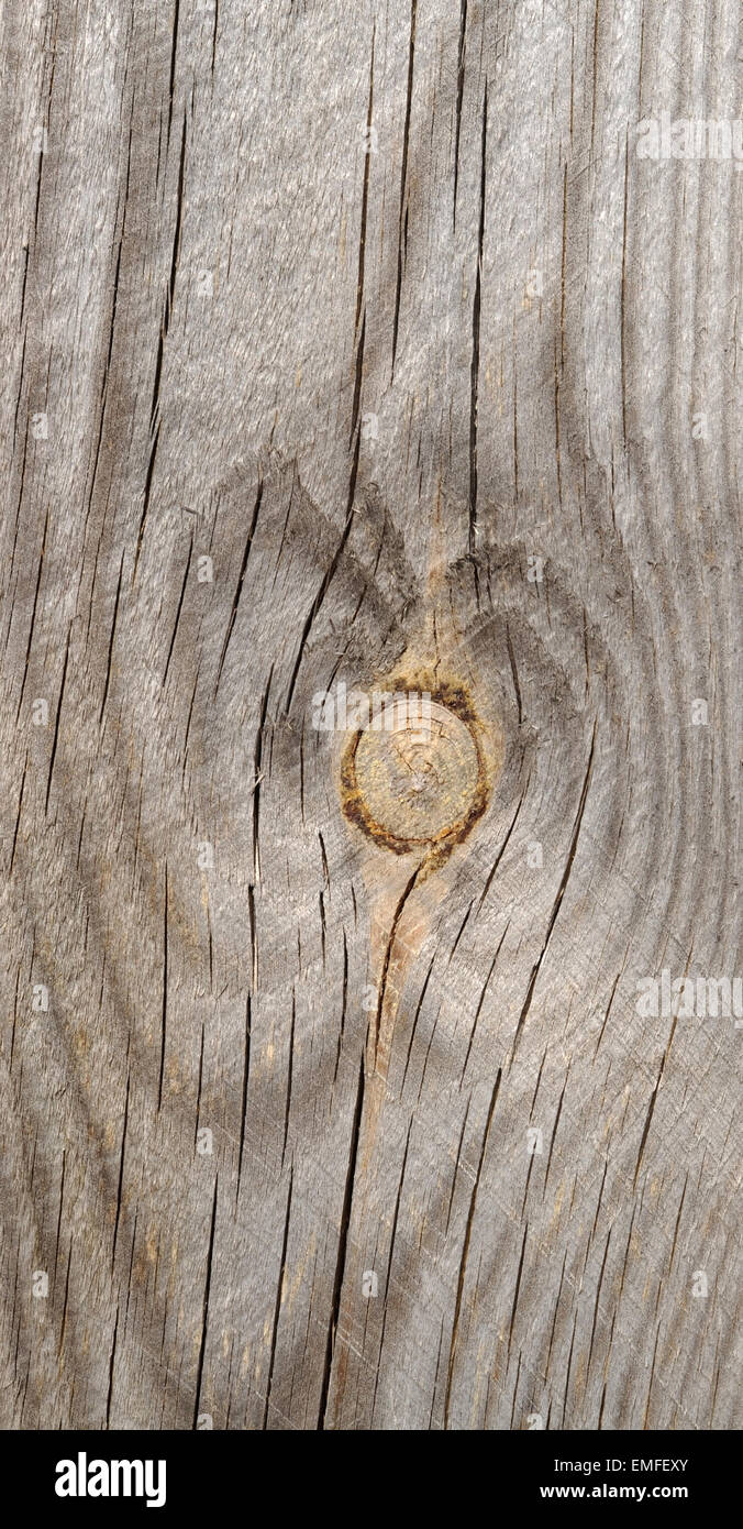 Old wooden surface. Close-up Stock Photo - Alamy