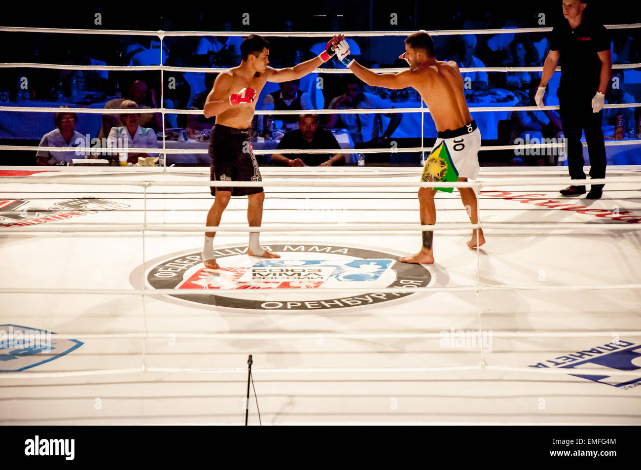 Fighting without rules hi-res stock photography and images - Alamy