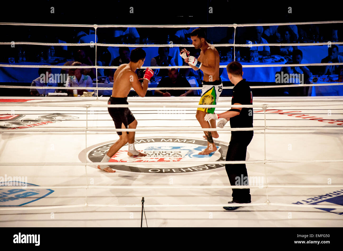 Fighting without rules hi-res stock photography and images - Alamy