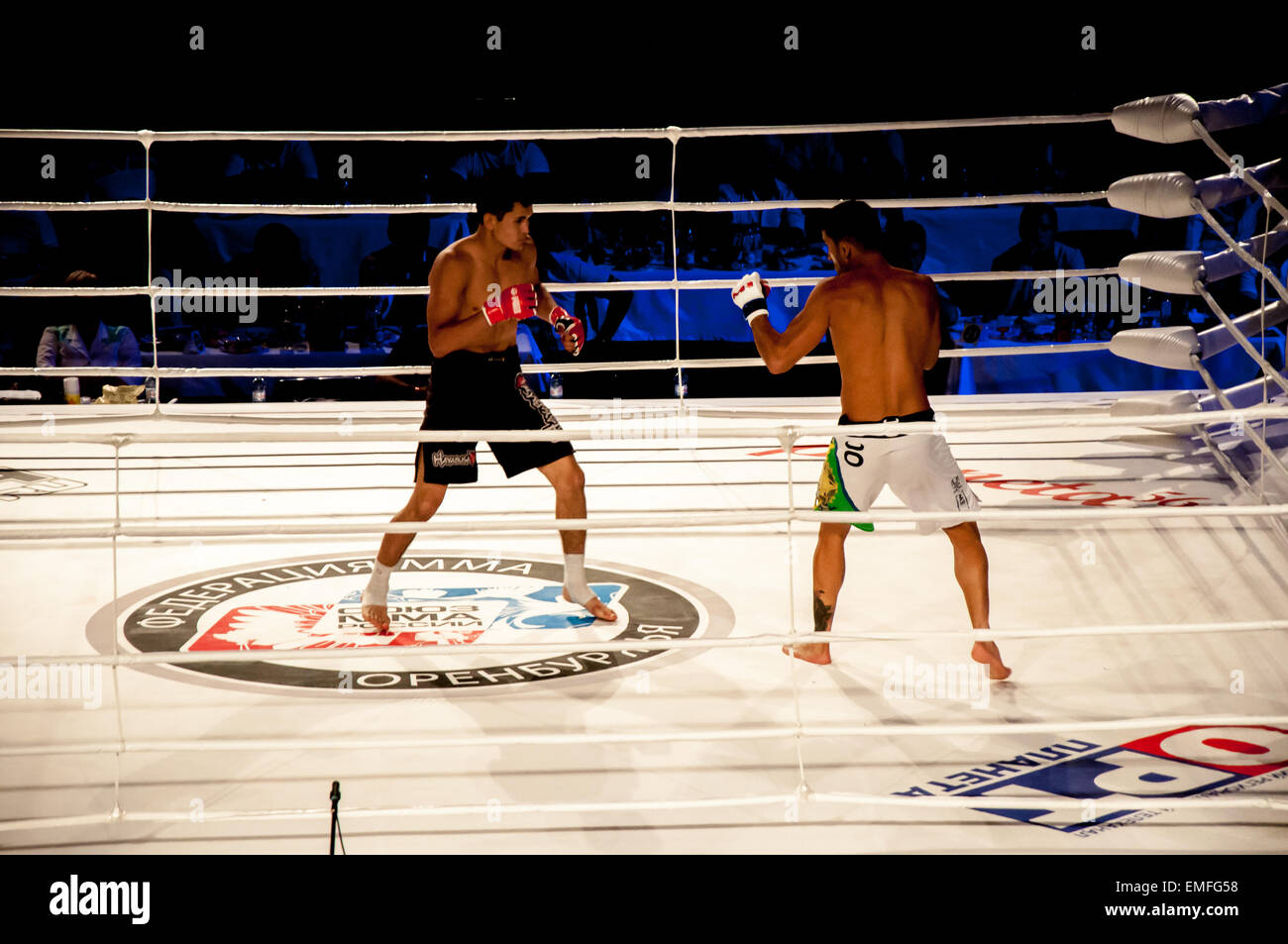 Fighting without rules hi-res stock photography and images - Alamy