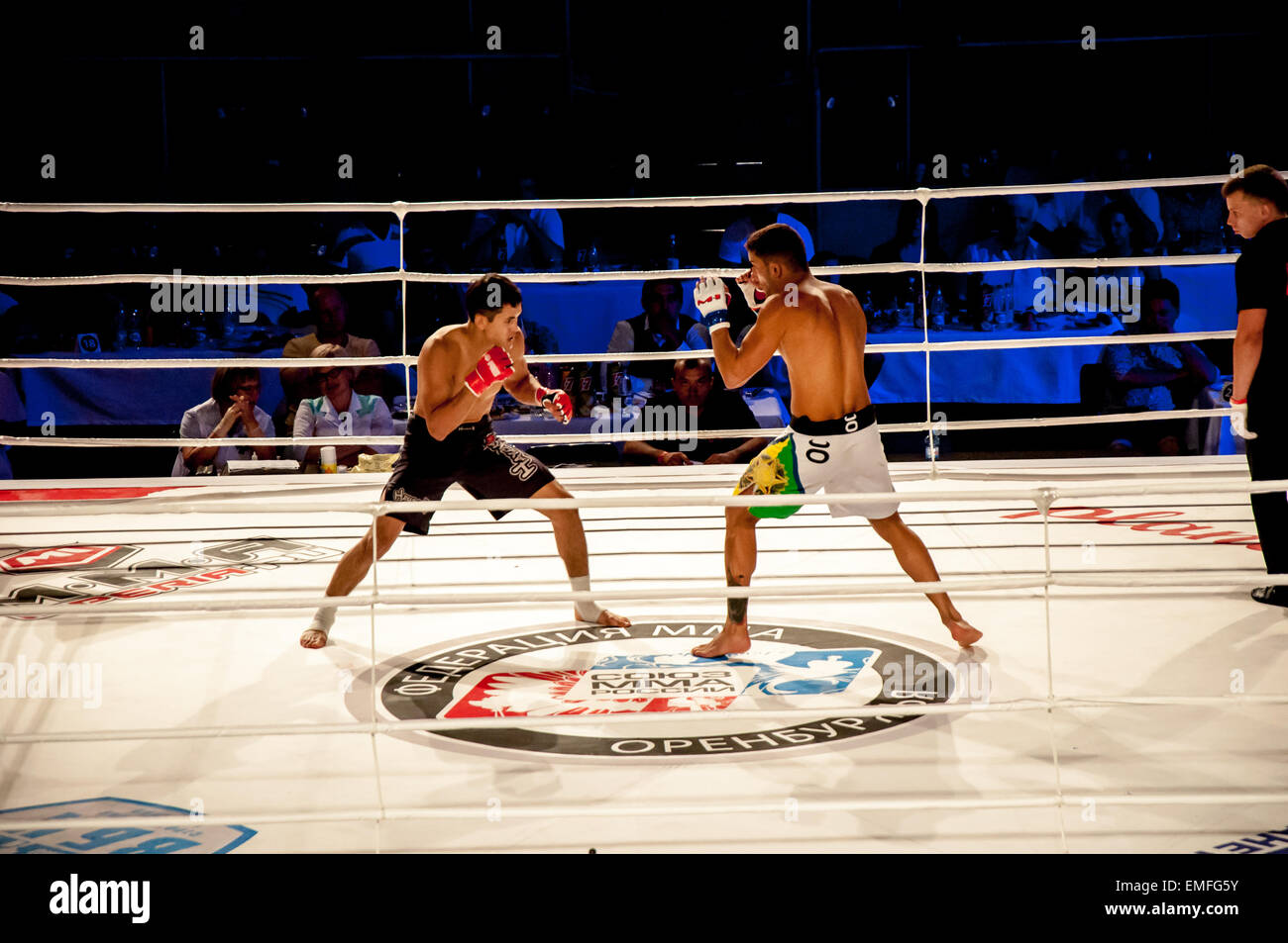 Fighting without rules hi-res stock photography and images - Alamy