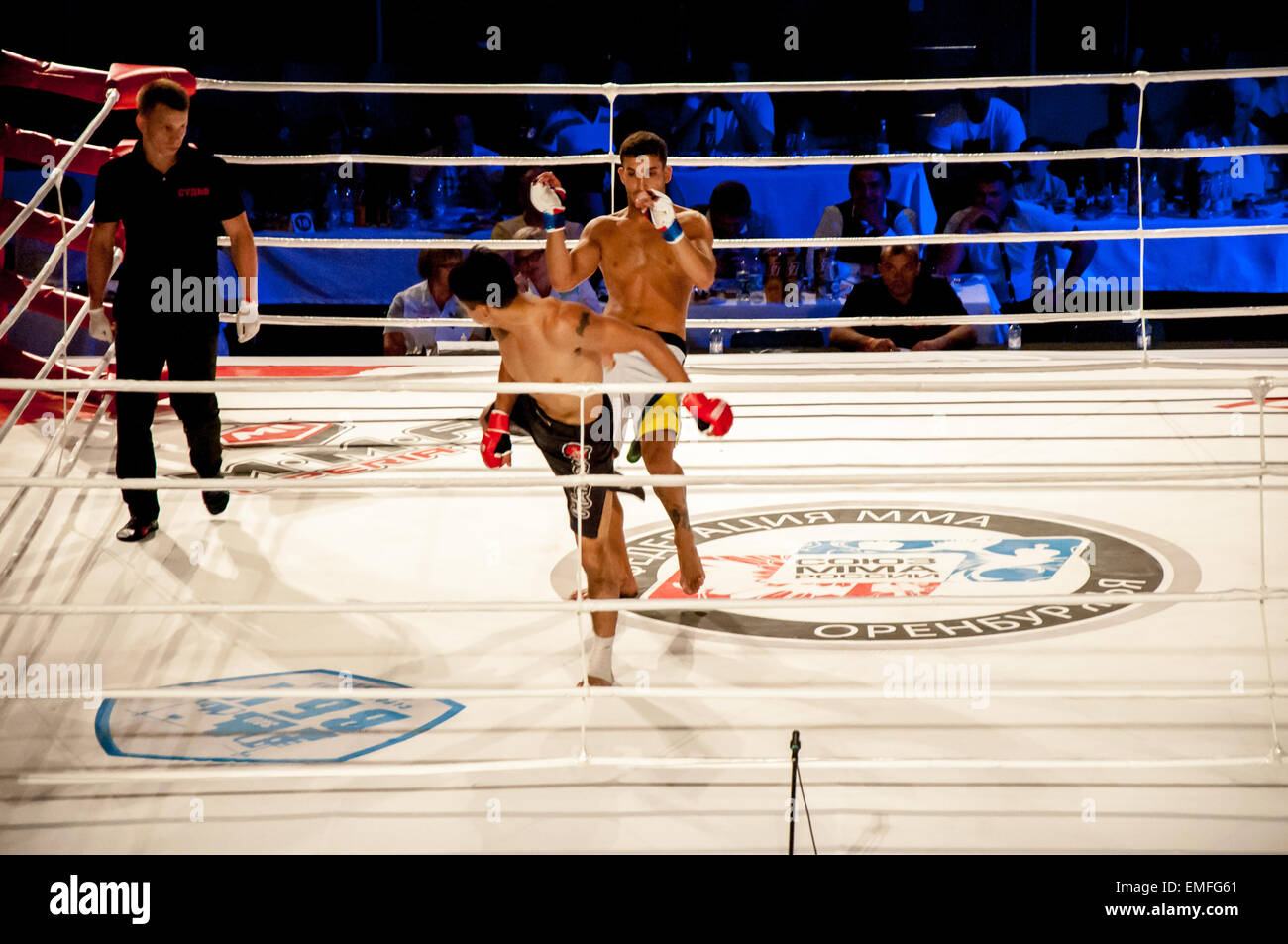 Fighting without rules hi-res stock photography and images - Alamy