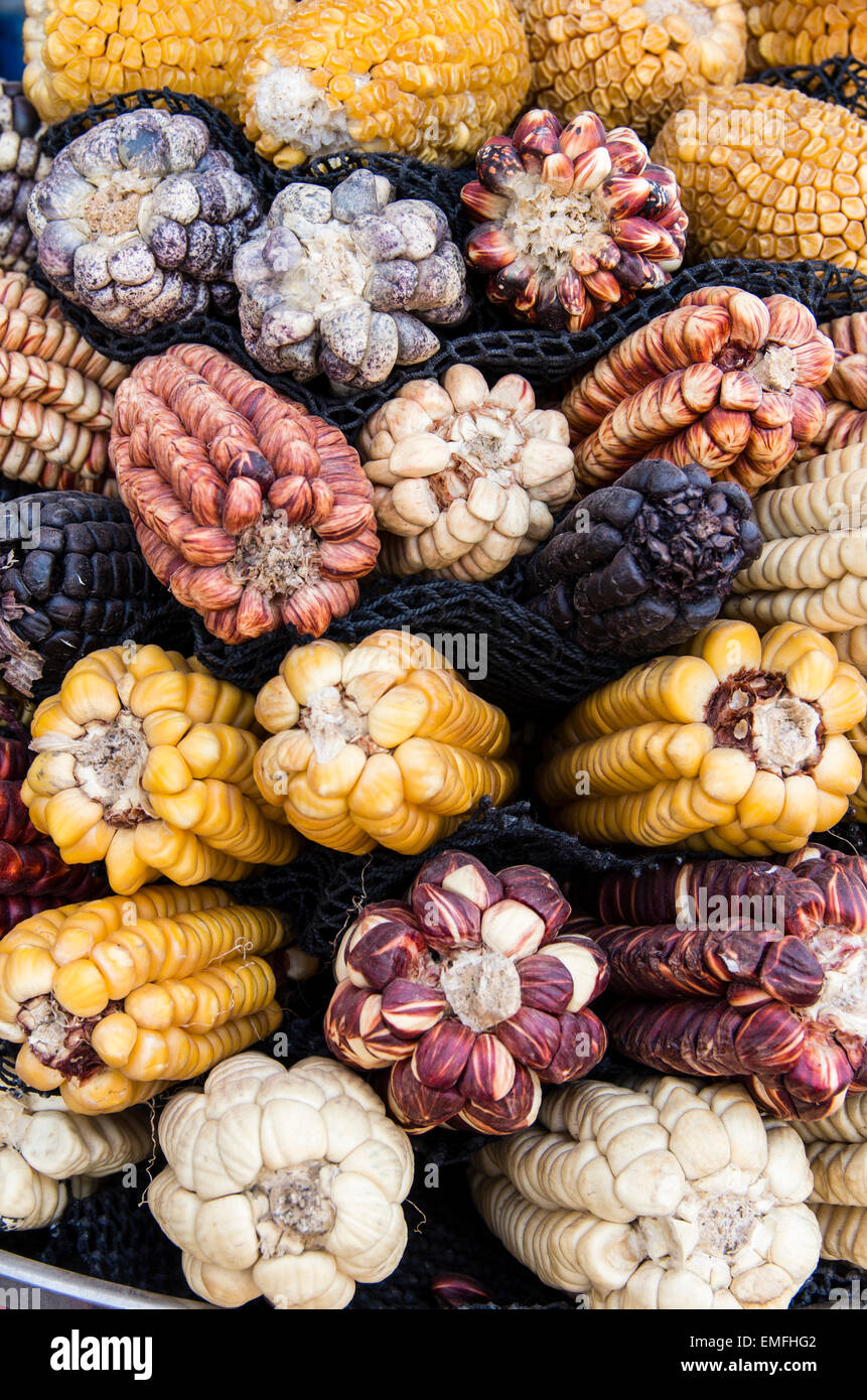 Different varieties of native maize(corn) in Cusco, Peru Stock Photo ...