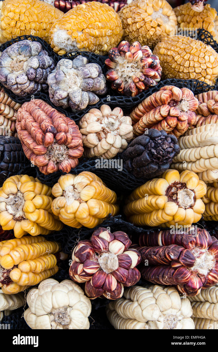 Different varieties of native maize(corn) in Cusco, Peru Stock Photo ...