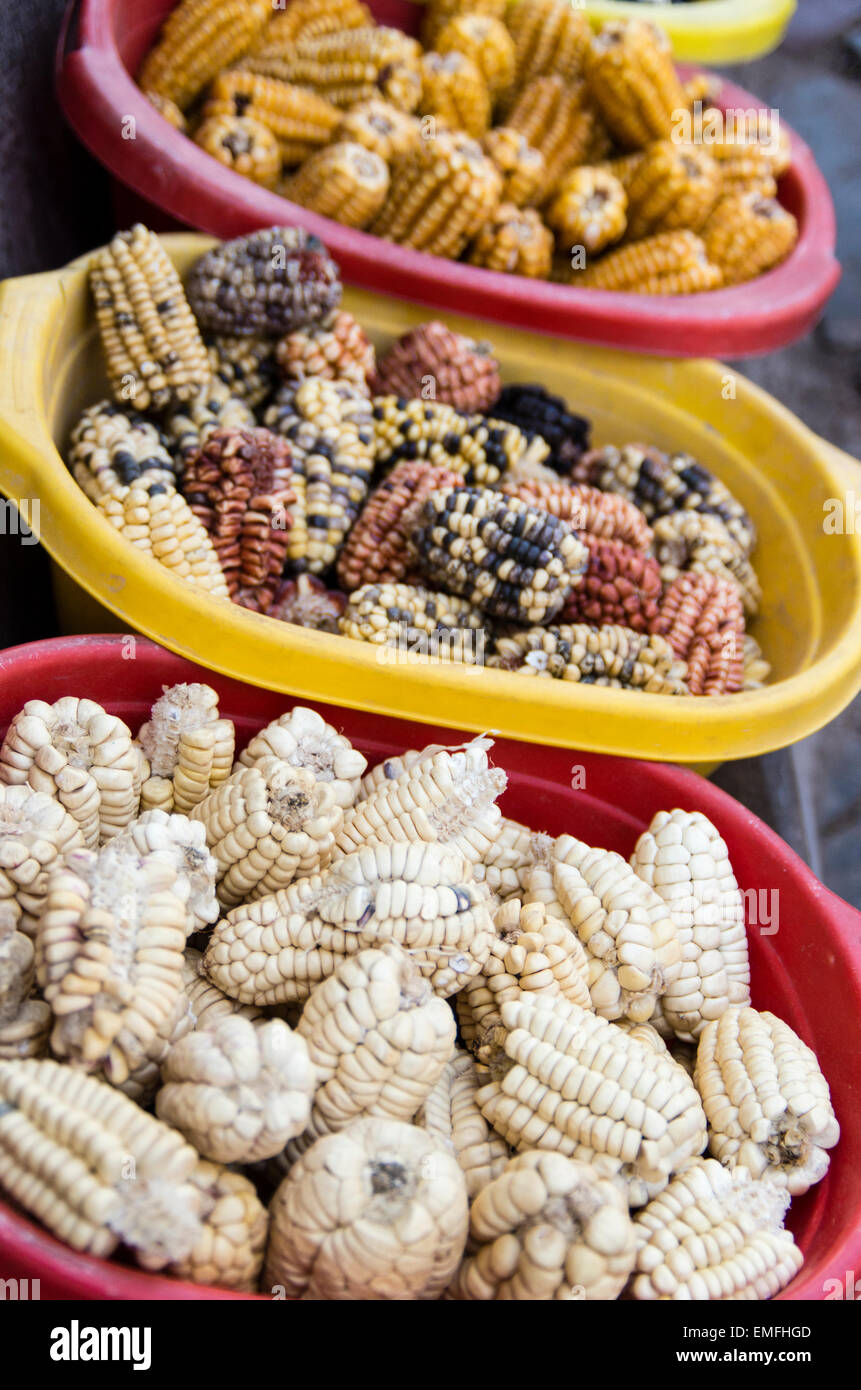 Different varieties of native maize(corn) in Cusco, Peru Stock Photo ...