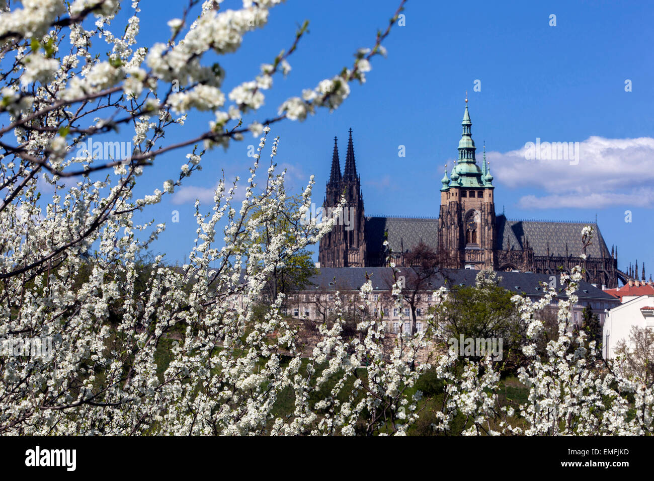 Prague Castle View Prague spring Prague castle spring, Prague Czech ...