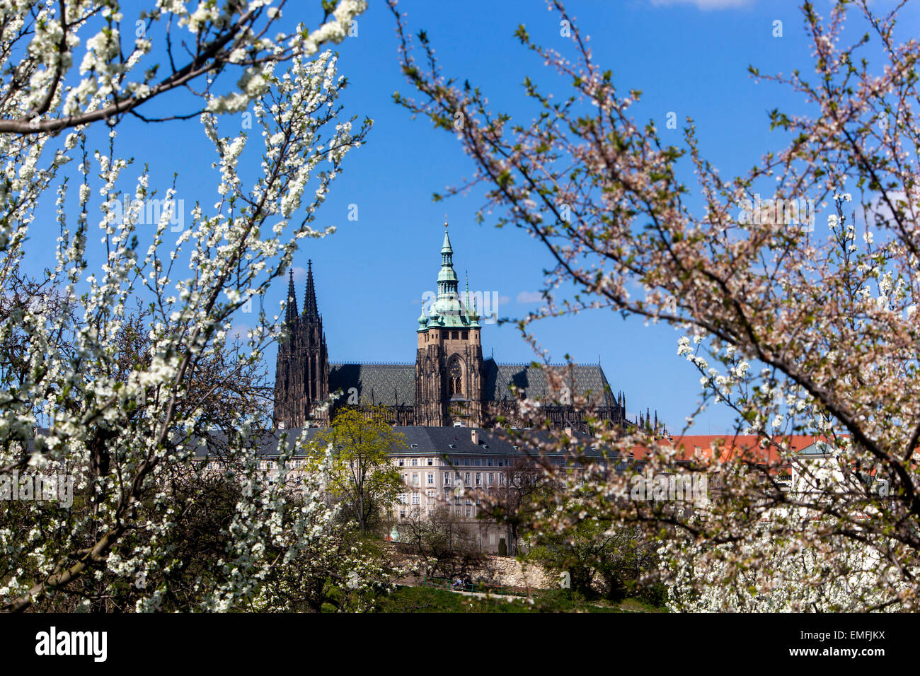 Prague Spring view of Prague Castle, romantic springtime, Prague Czech ...