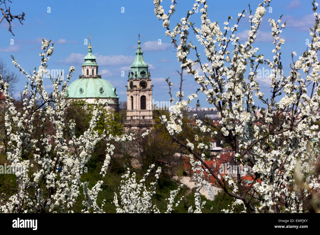 St. Nicholas Church Prague Spring, Czech Republic, Europe Stock Photo ...