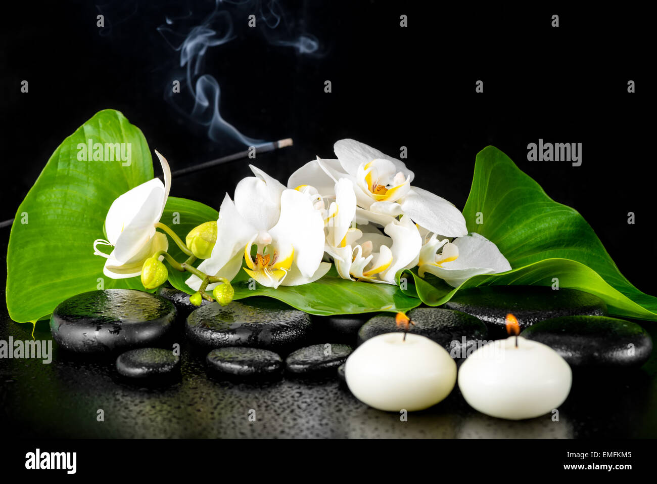 beautiful spa concept of blooming white orchid flower; phalaenopsis ...
