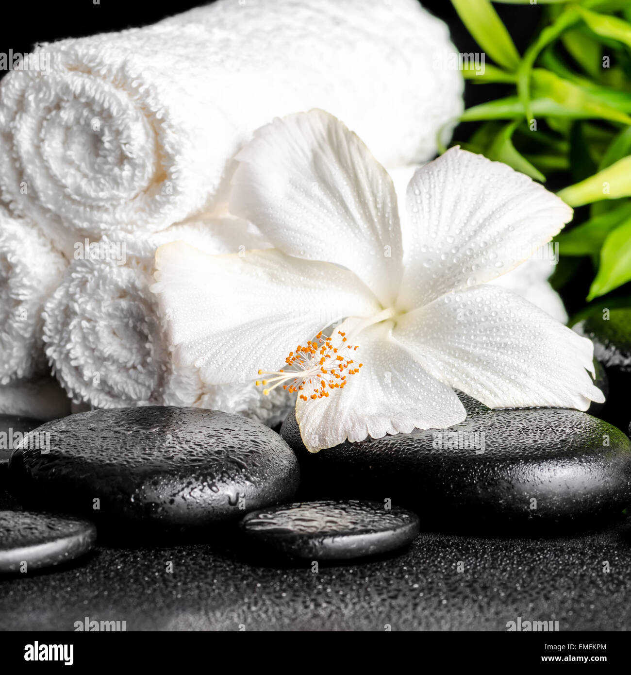 spa concept of white hibiscus flower, bamboo and towels on zen basalt ...