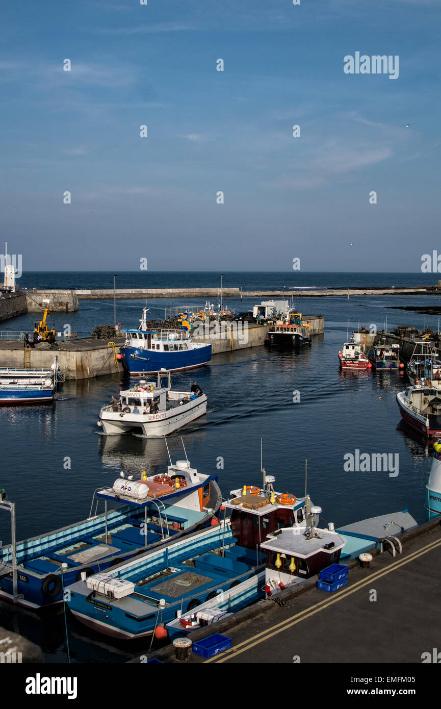 Seahouses harbour hi-res stock photography and images - Alamy