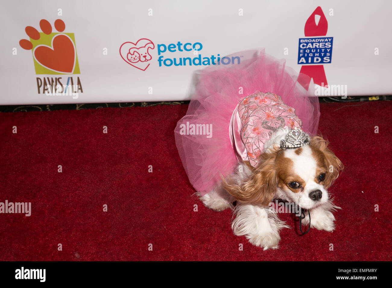 Celebrities attend PAWS/LA and Wells Fargo Present Silver Jubilee Gala ...