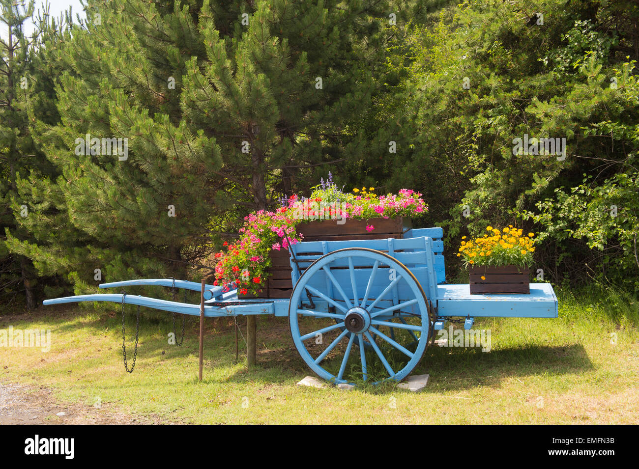 Vintage blue cart hi-res stock photography and images - Alamy