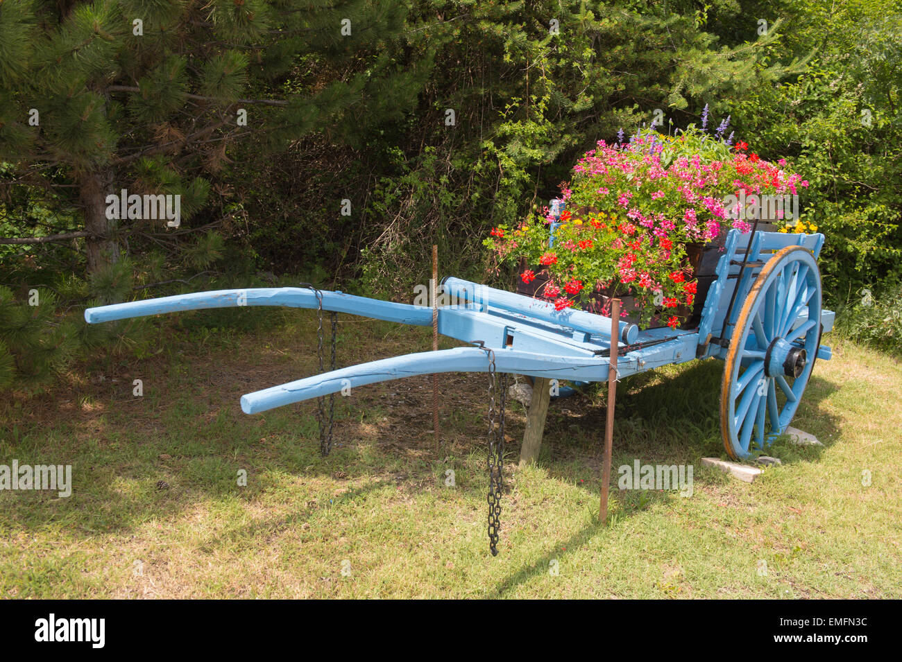 Old vintage blue Lavender cart with flowers Stock Photo - Alamy