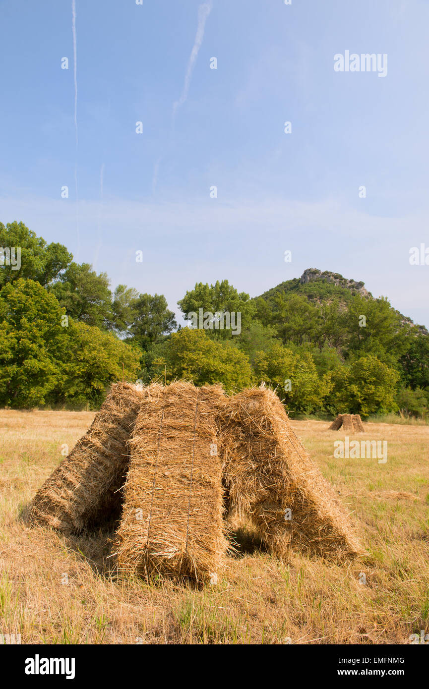 Square blocks with hay in the agriculture fields Stock Photo - Alamy