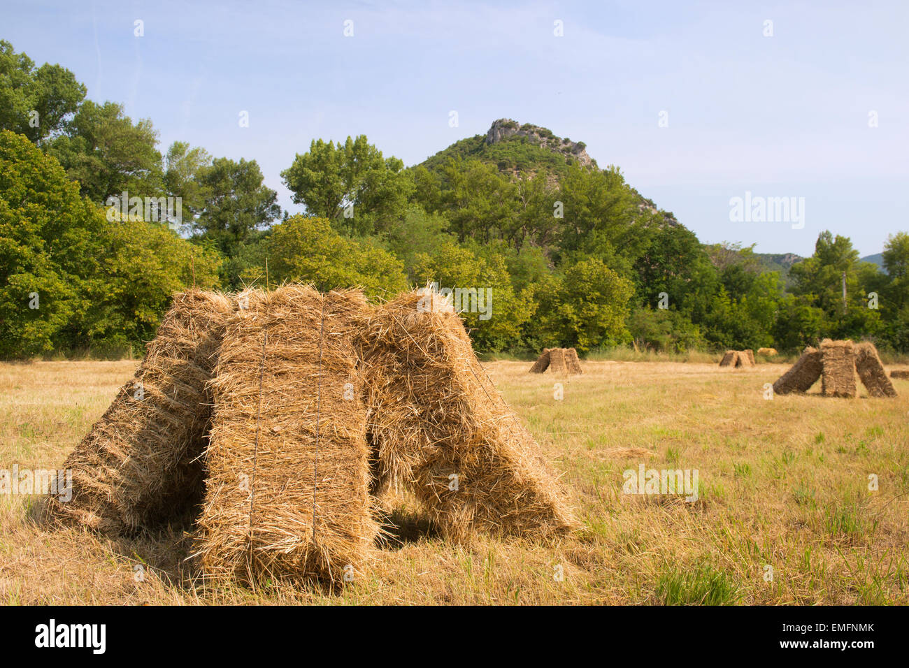 Haying in the fields hi-res stock photography and images - Alamy