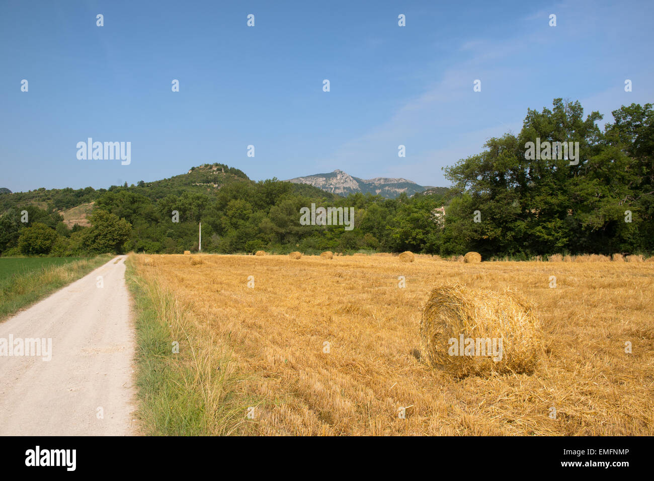 Round hay bails in French Drome landscape Stock Photo - Alamy