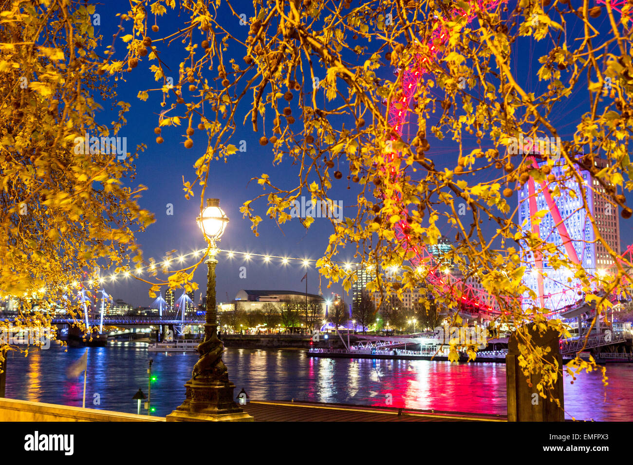 The London Eye and River Thames with Trees At Night London UK Stock ...