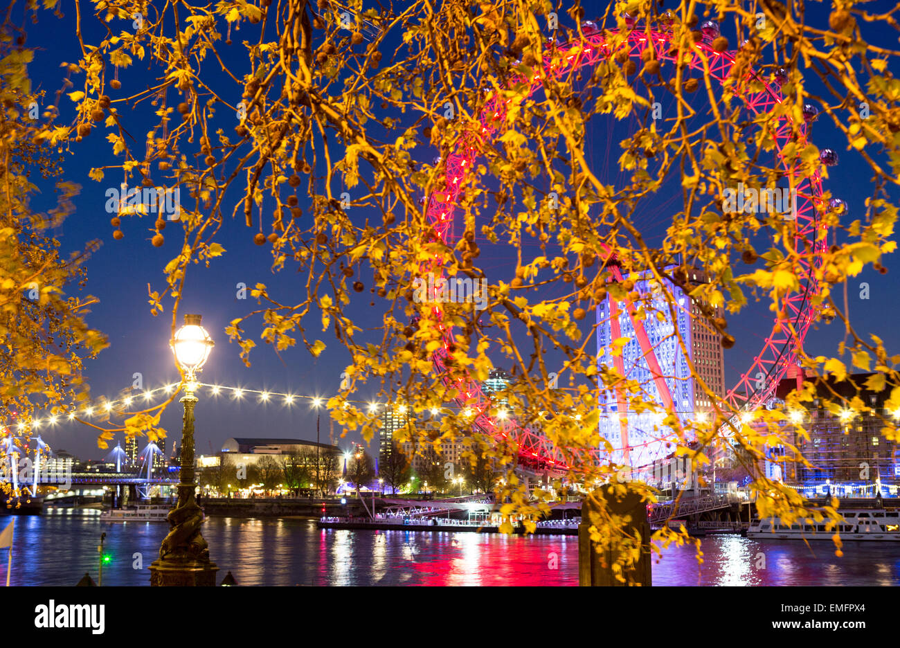 The London Eye and River Thames with Trees At Night London UK Stock ...