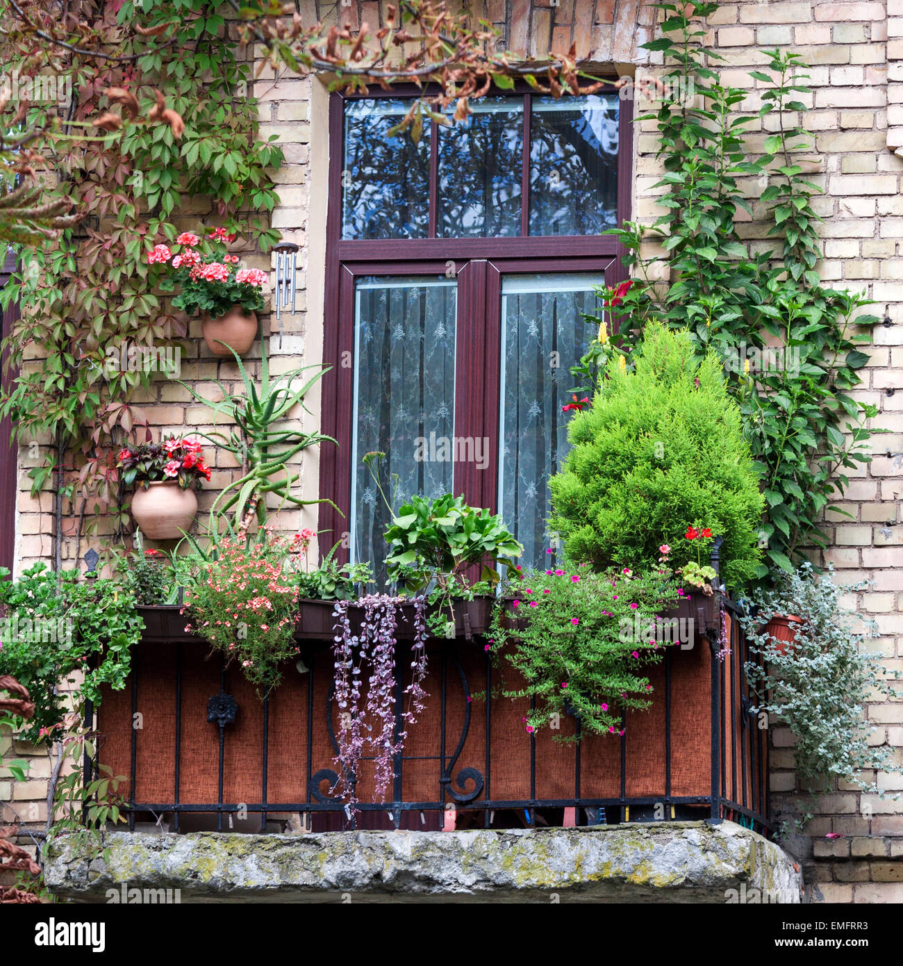 Balcony with overgrown plants hi-res stock photography and images - Alamy