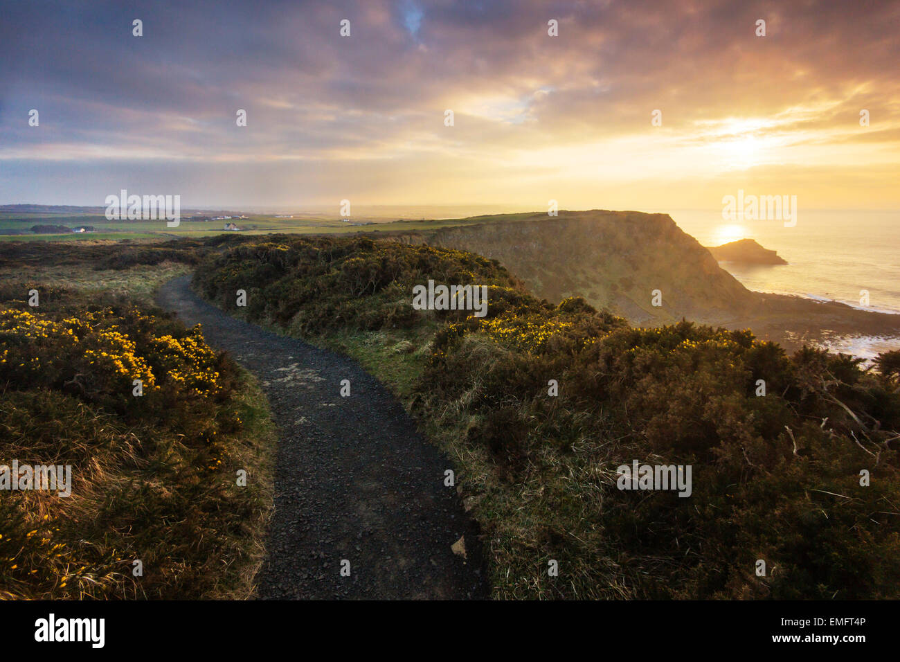 Cliff top path over the Giant's Causeway at sunset, Co. Antrim ...