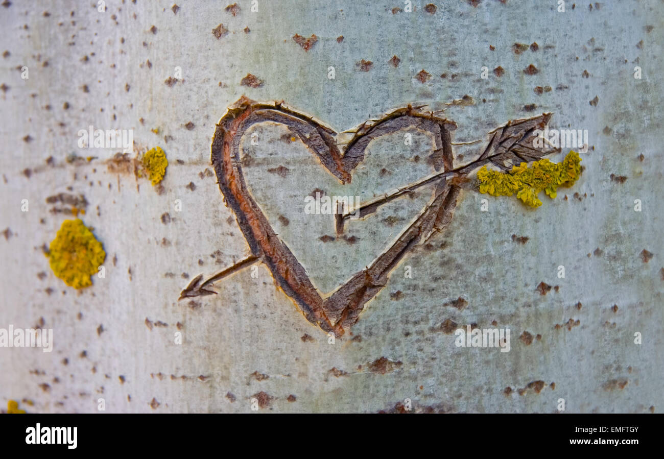 Carved heart hi-res stock photography and images - Alamy